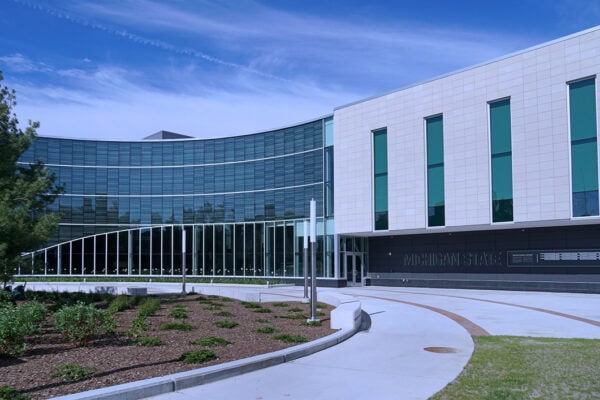 Michigan State University – IECA