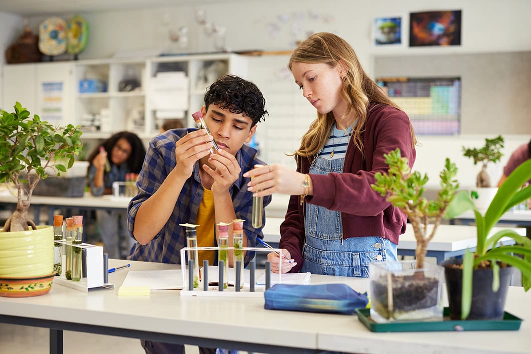 A Consultant’s Guide to Understanding FFA and 4-H Youth Development ...